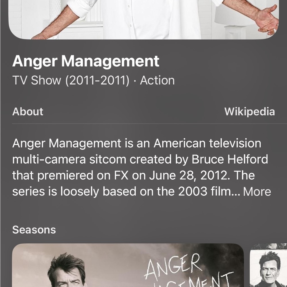 Anger Management Tv Show Poster - Gem